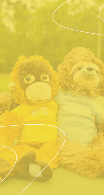 Pine Cove ETX Bunk Boxes